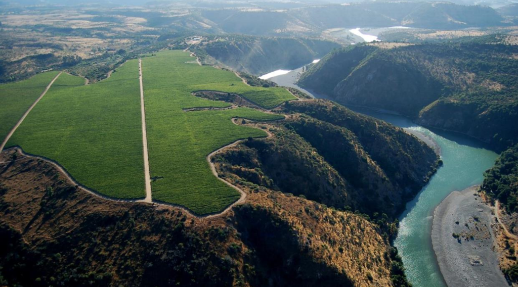 Should your wine business become a BCorp? Concha y Toro says yes ...